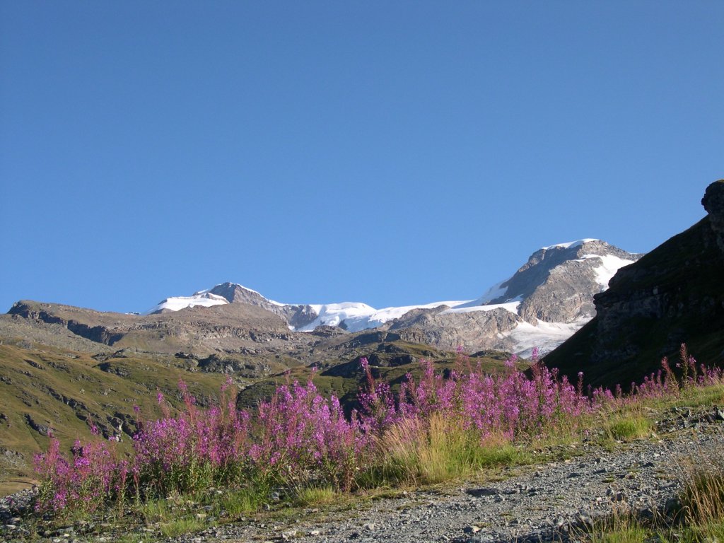 Catena del Monte Rosa - Punta Dufour m 4634 | Valle d'Aosta
