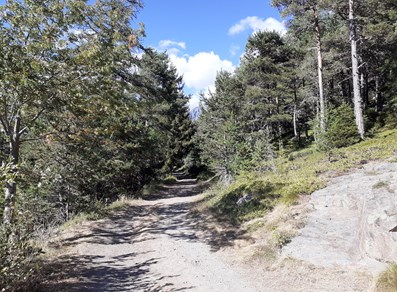 Col de Joux - Col Tzecore | Valle d'Aosta