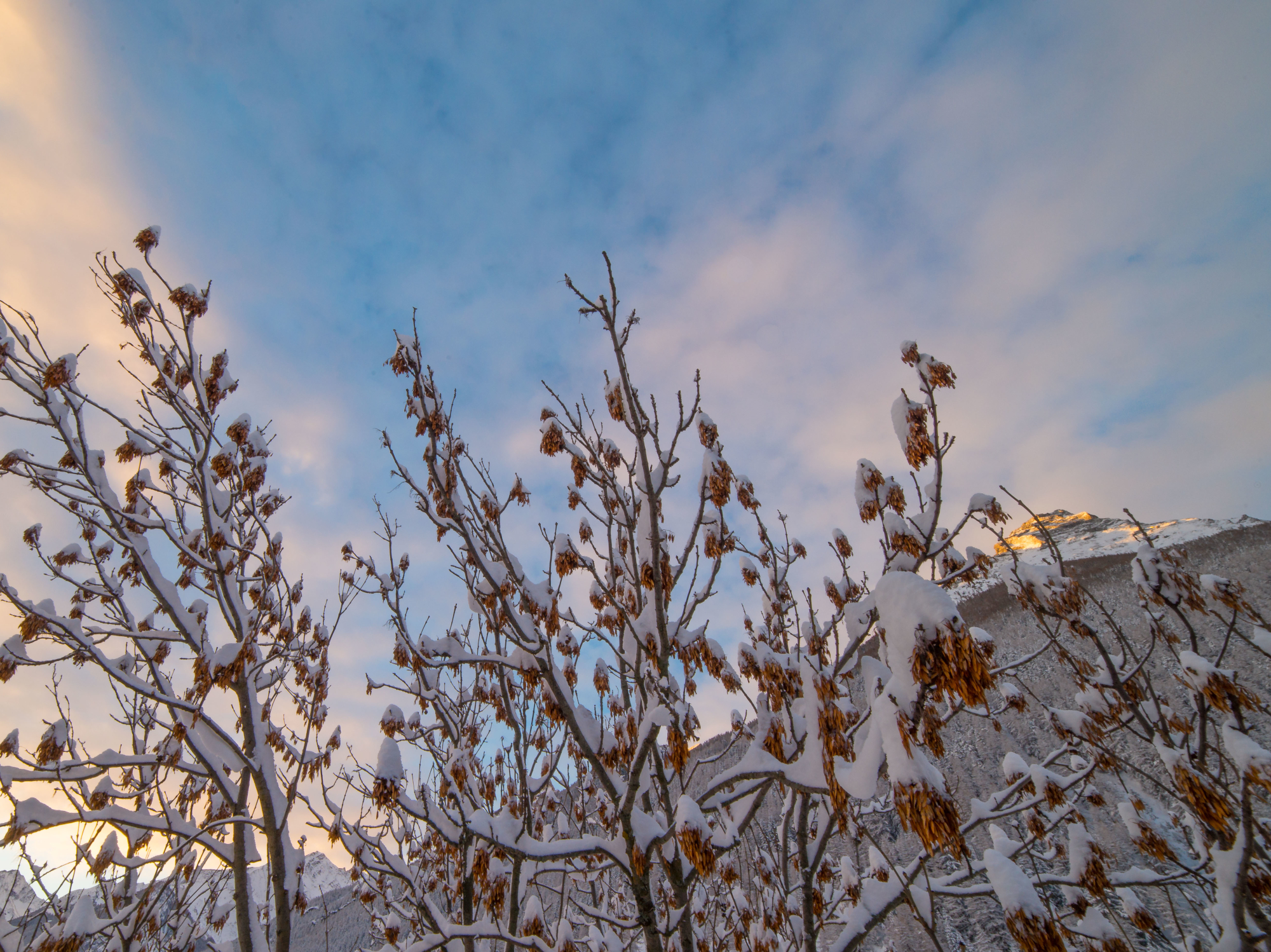 Cogne Outdoor - Mindful in Epinel